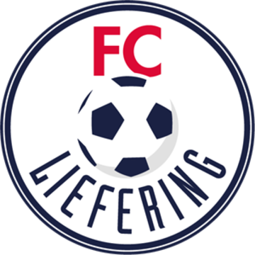 First Vienna FC 1894 vs SC Austria Lustenau Predictions & Preview ...