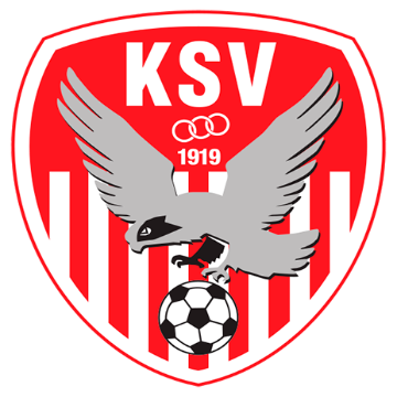 First Vienna FC 1894 vs SC Austria Lustenau Predictions & Preview ...